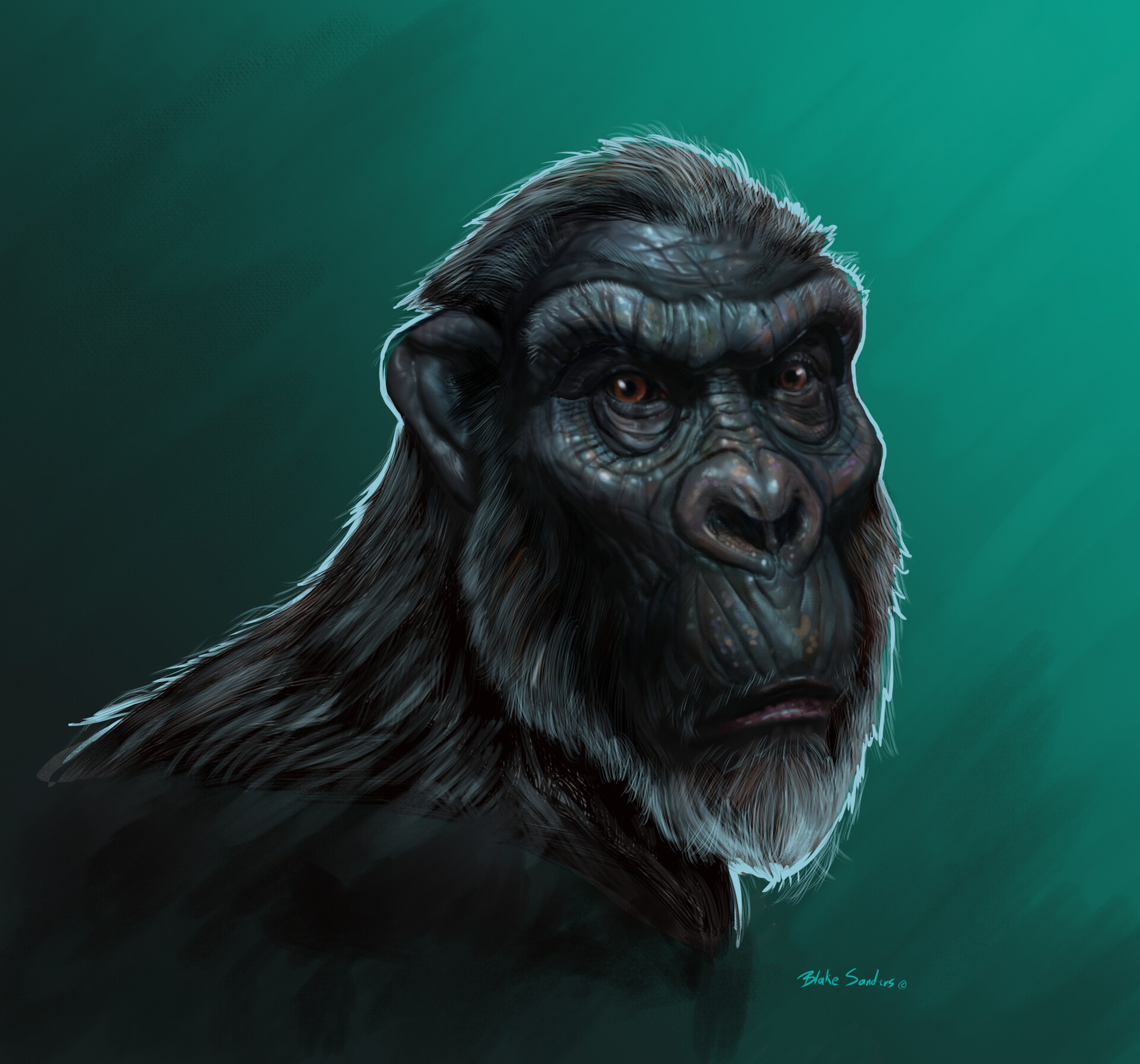 ArtStation - Chimpanzee Study