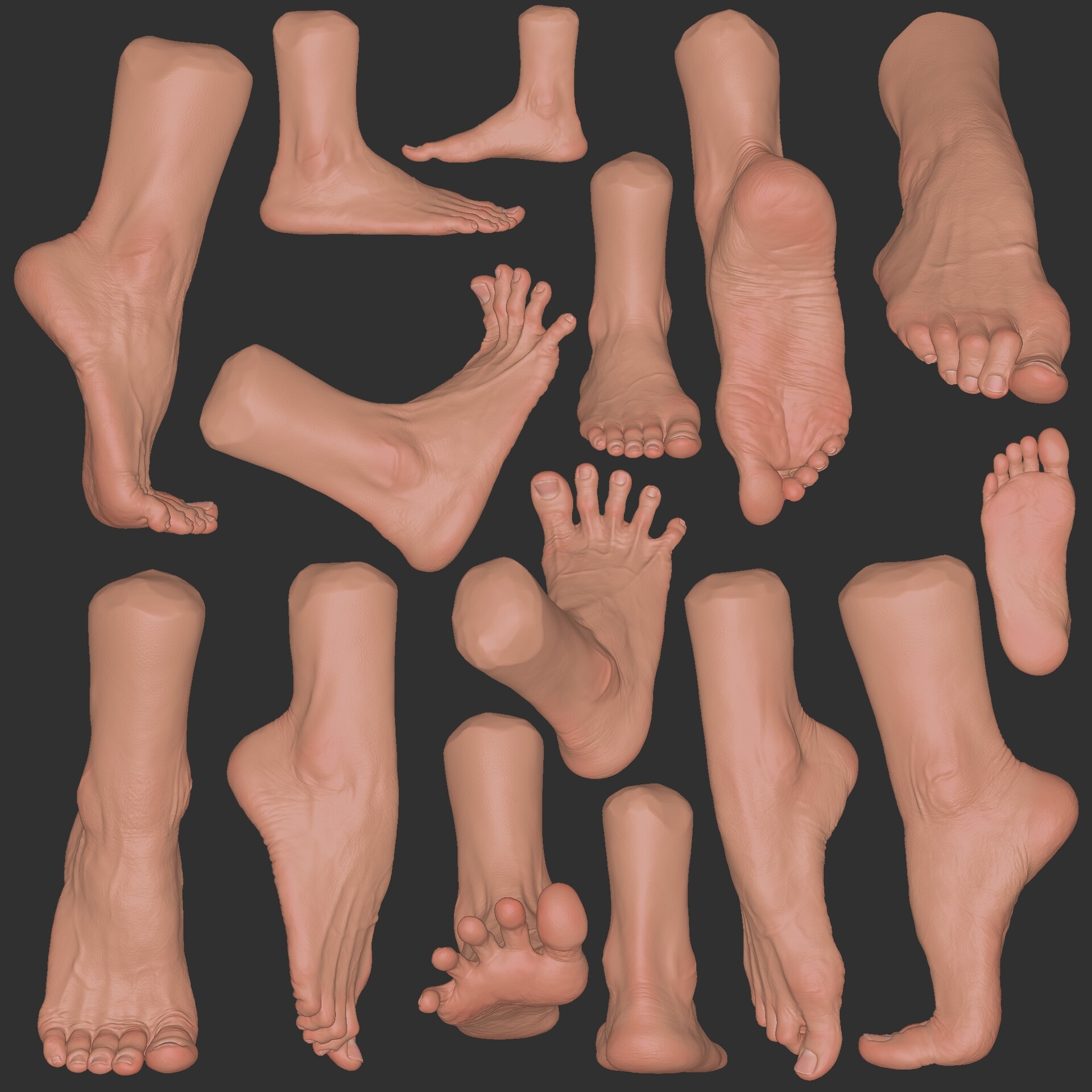 ArtStation - Foot anatomy study