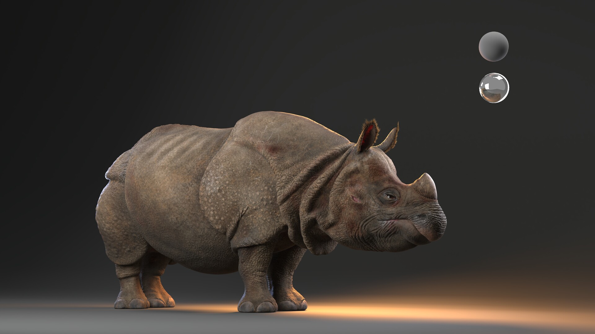 ArtStation - Indian Rhino Digital Sculpting.
