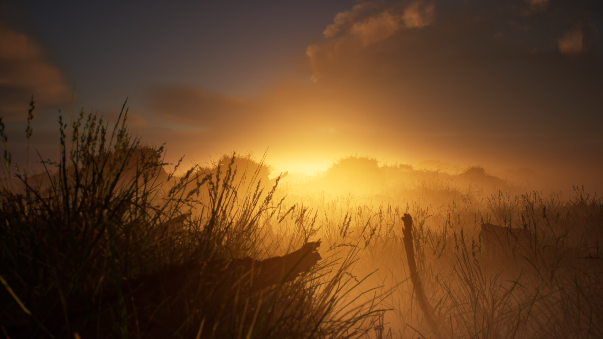 ArtStation - Hilly field