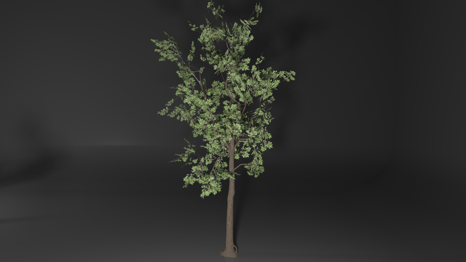ArtStation - Tree