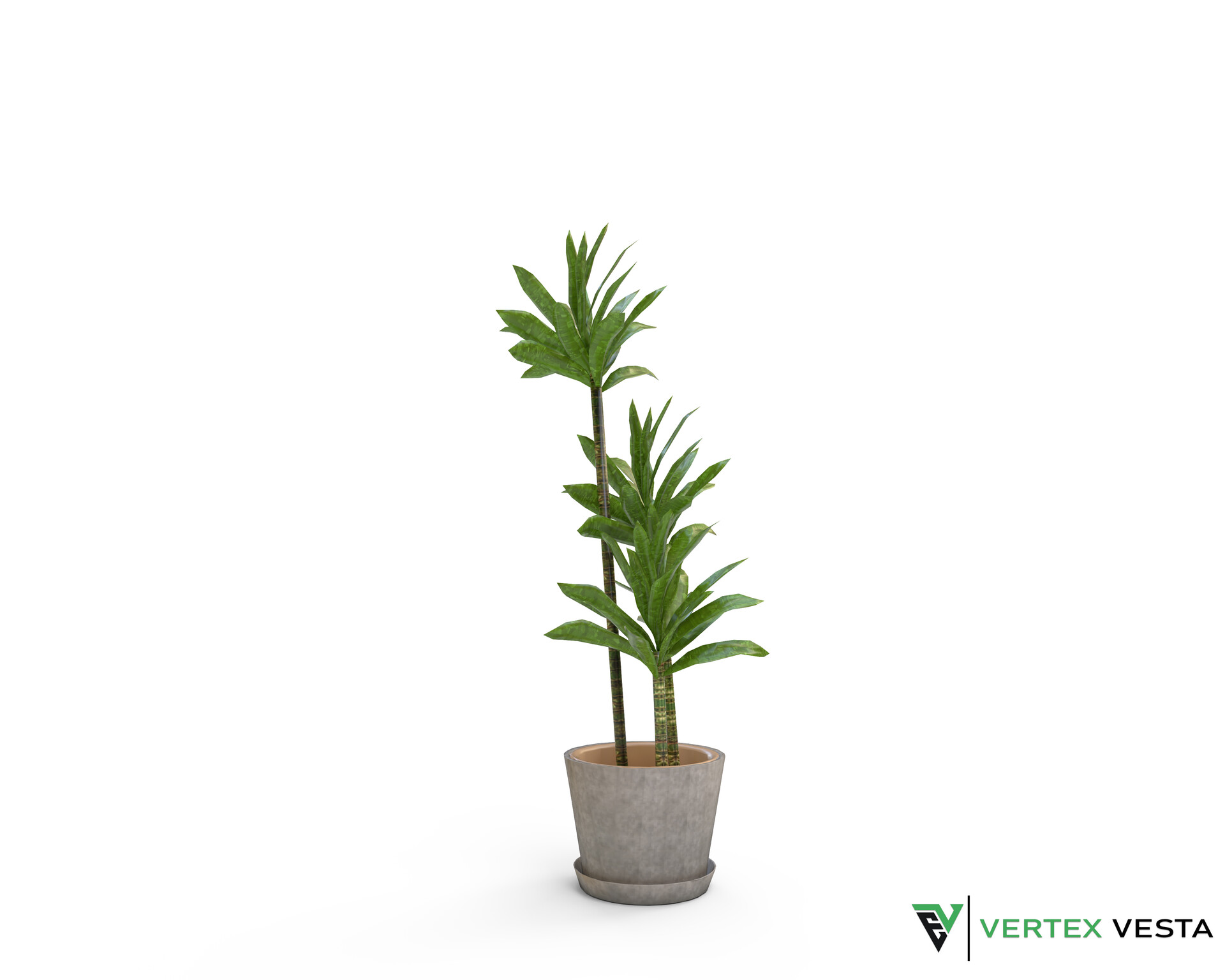 ArtStation - potted plant