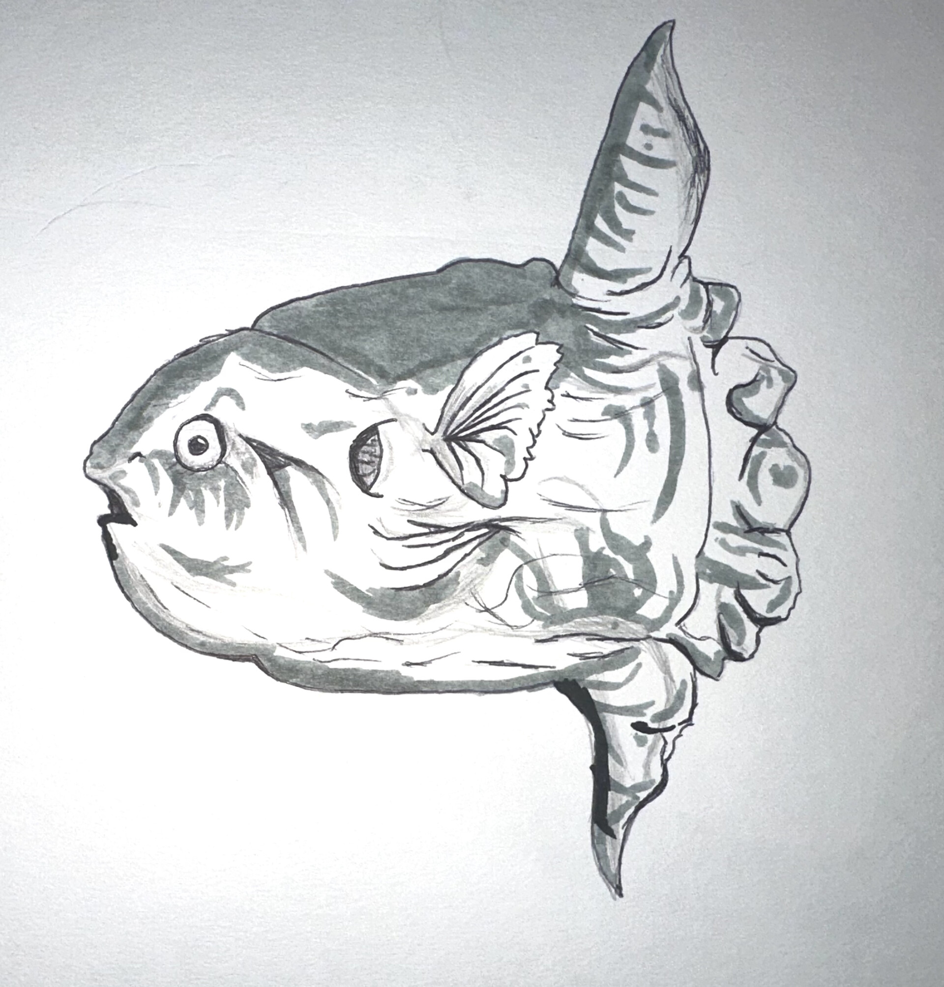 ArtStation - NEWEST Character Design - Underwater Game Design