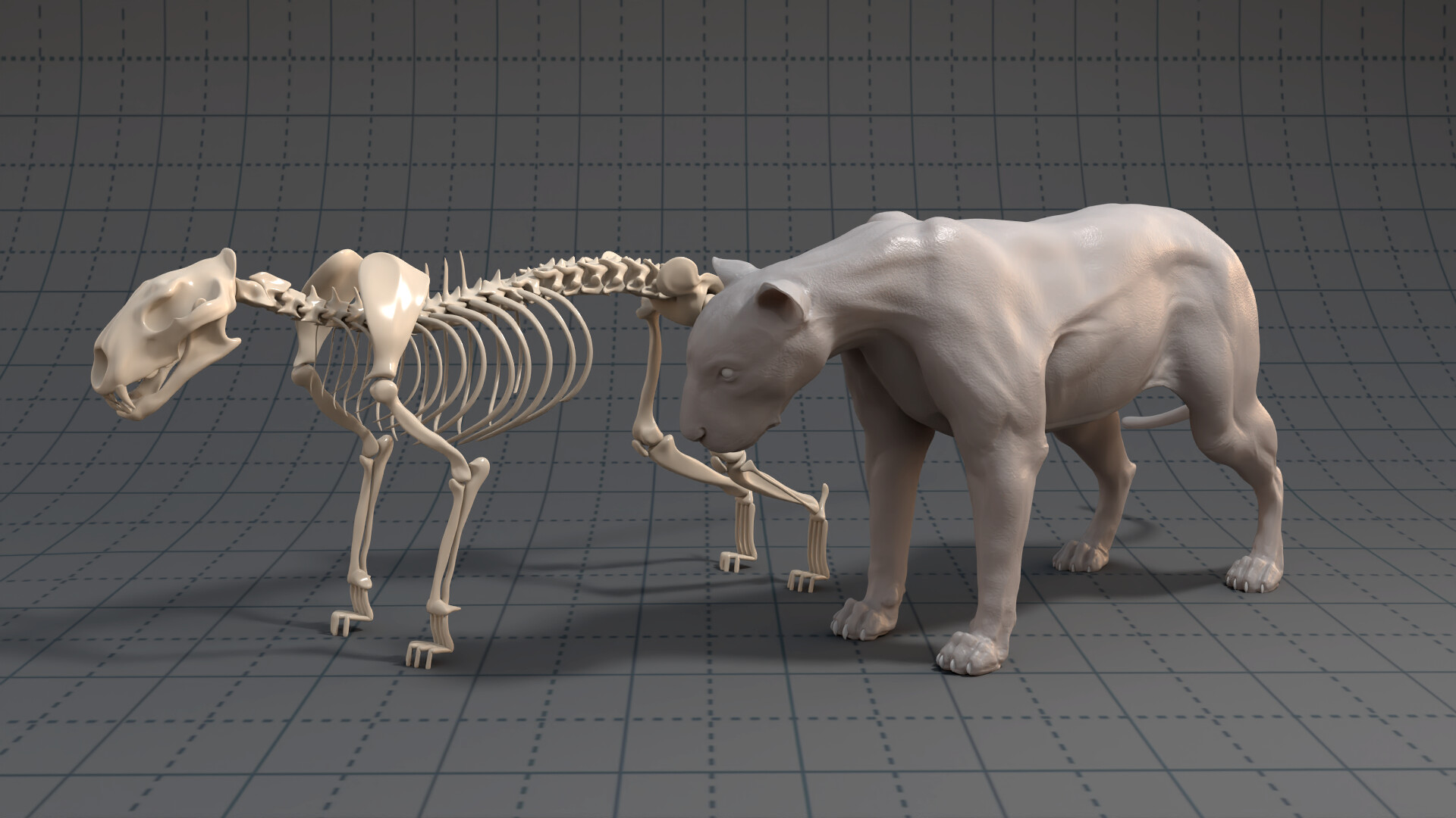 ArtStation - Lioness Scuplt Project