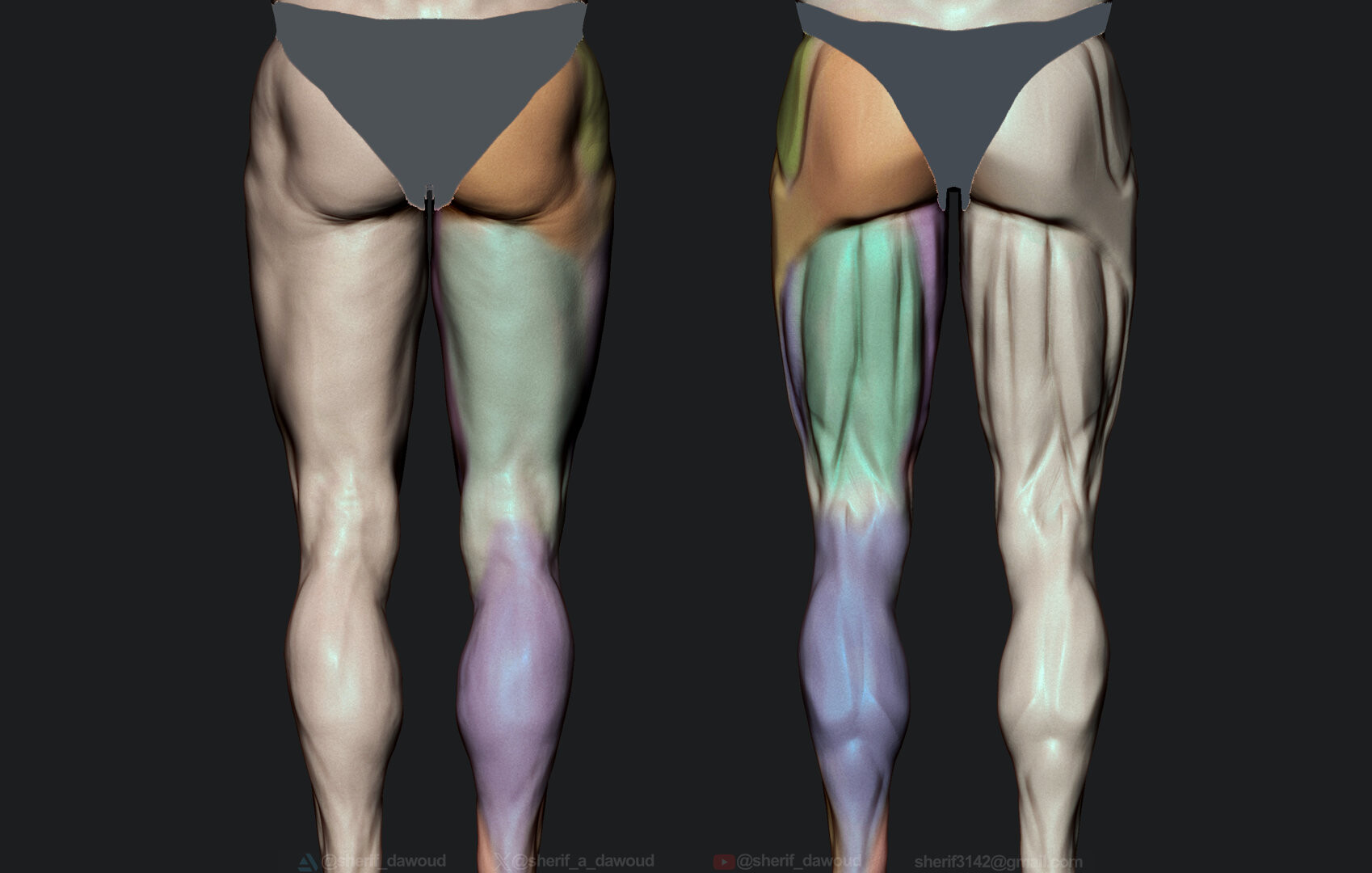 leg reference