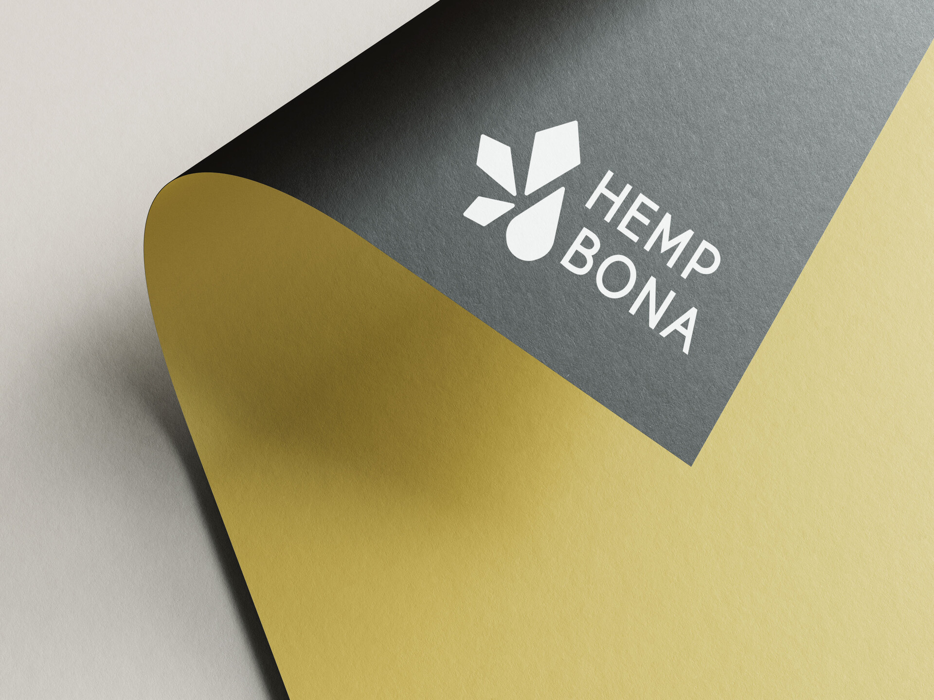 ArtStation - Logo Hemp Bona