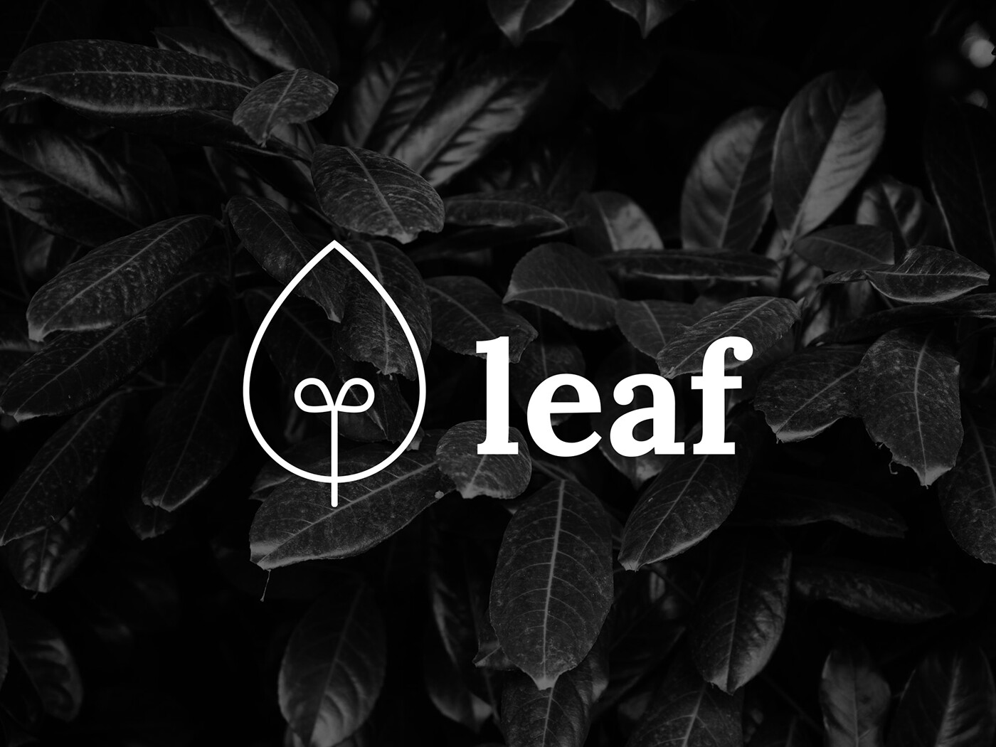 ArtStation - Leaf Plant Store | Logo Design