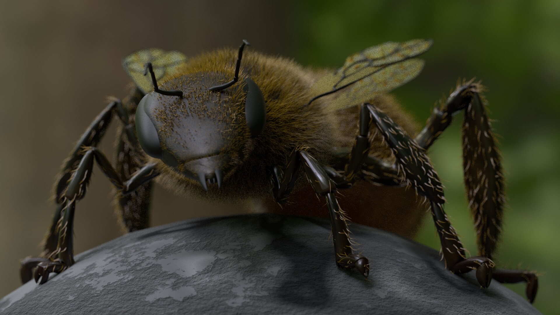 ArtStation - 3D Modeling_Insect