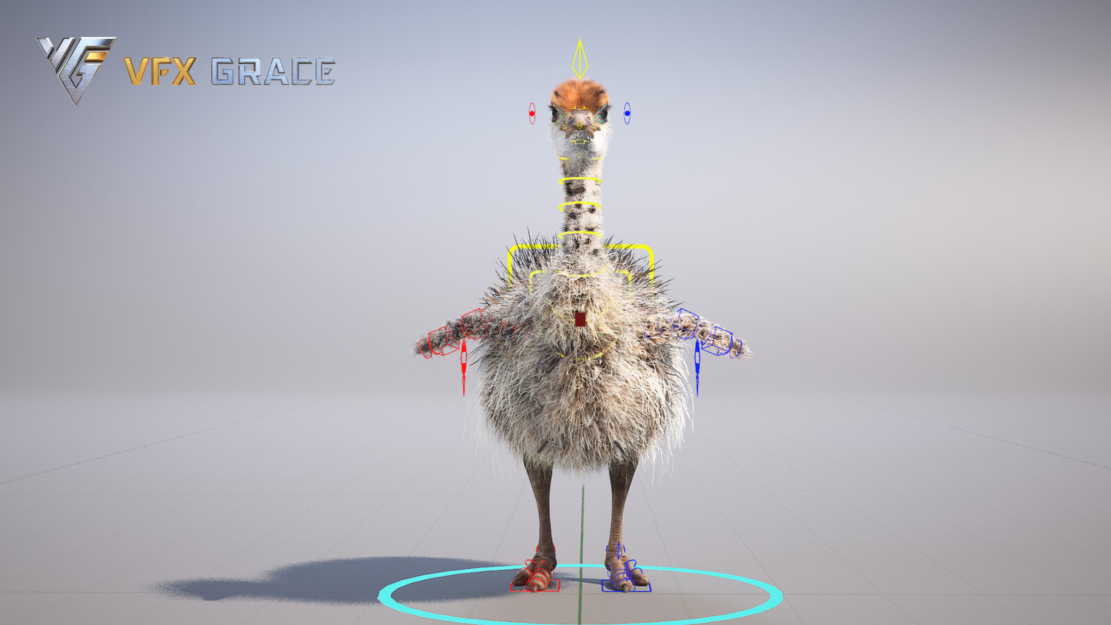 VFX models - Young Ostrich Animated - UE Character Asset