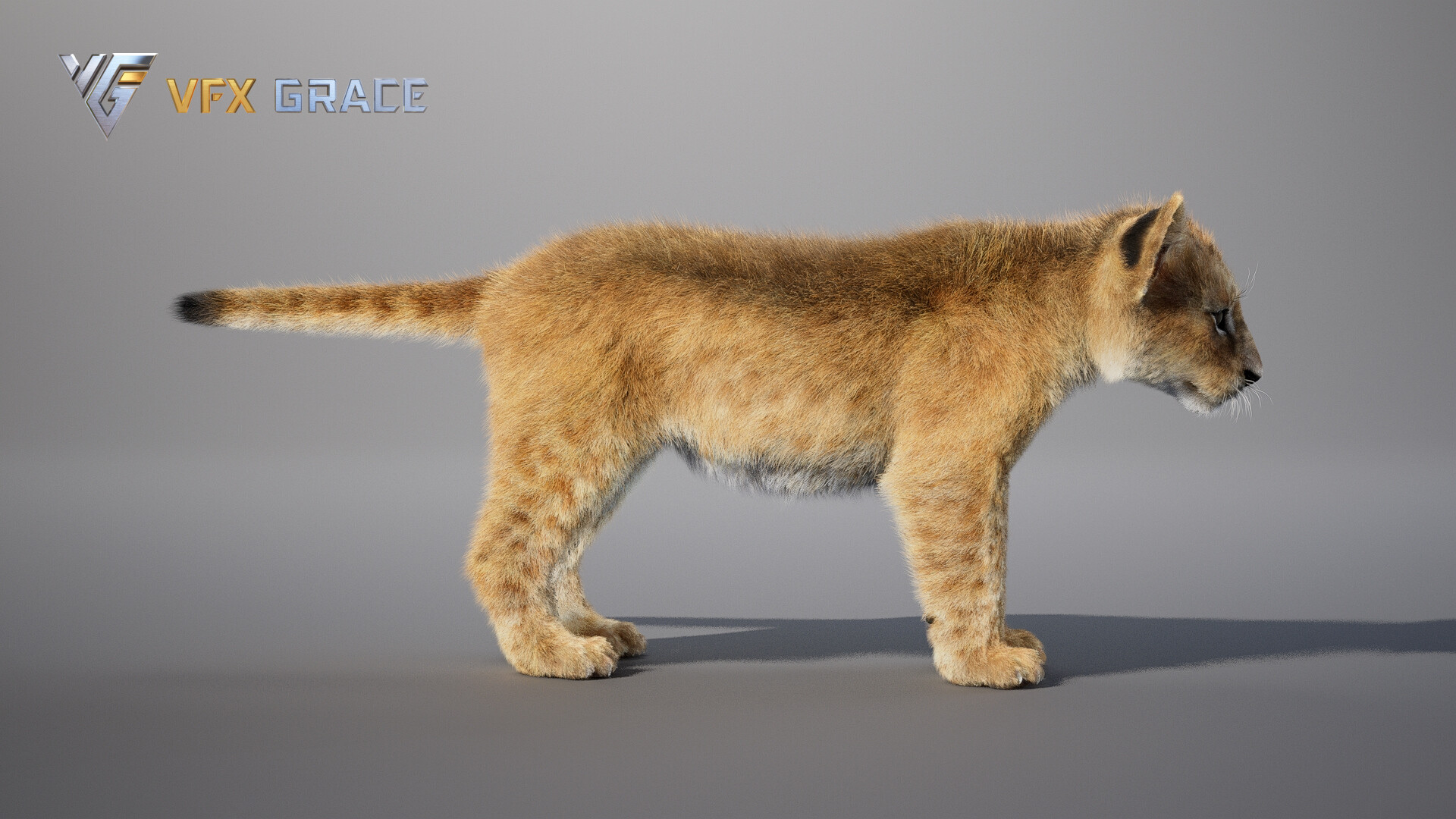 VFX models - Lion Cub Animated - UE Character Asset