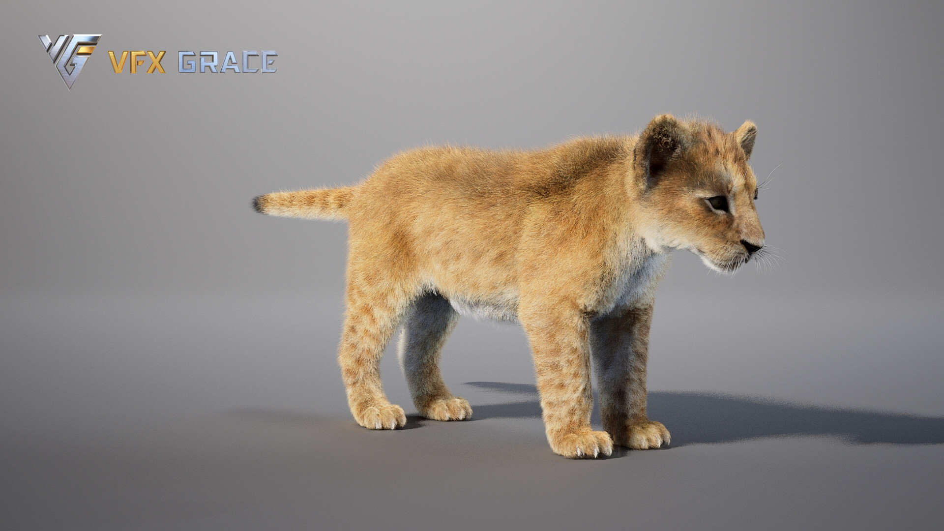 VFX models - Lion Cub Animated - UE Character Asset