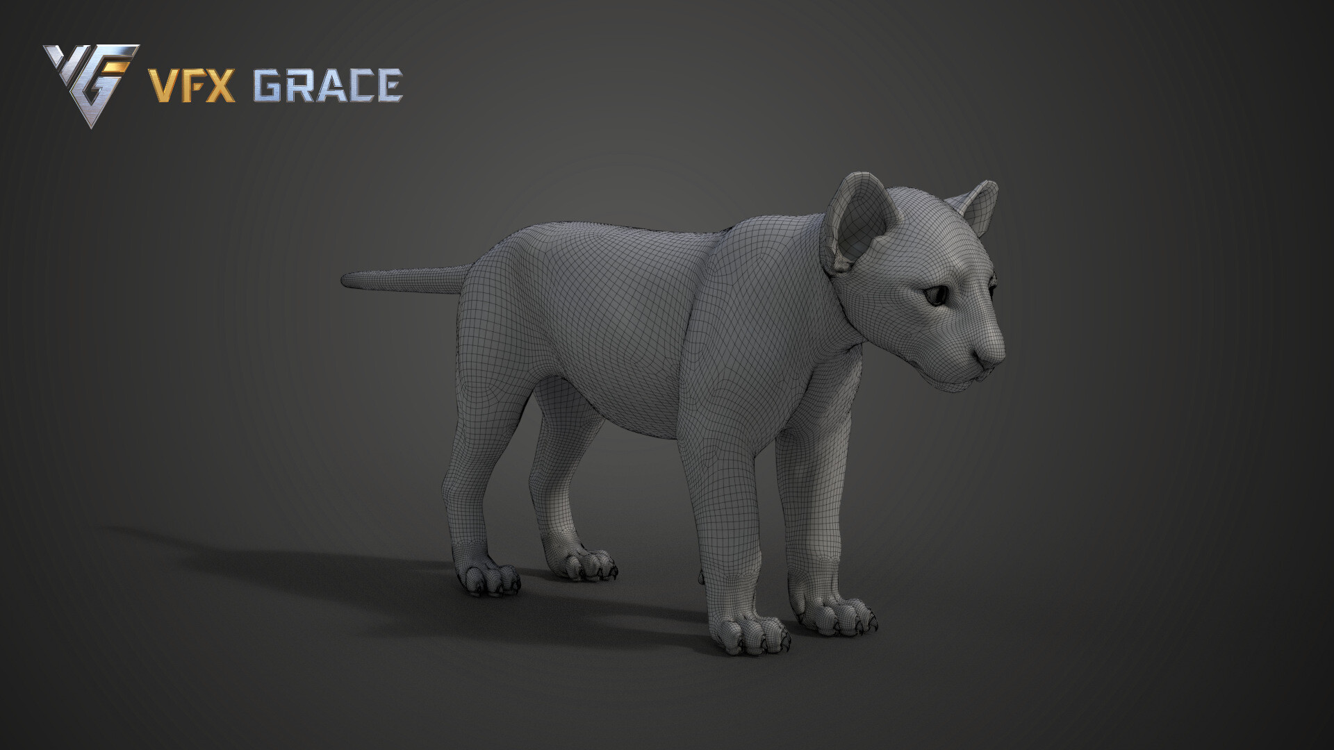 VFX models - Lion Cub Animated - UE Character Asset