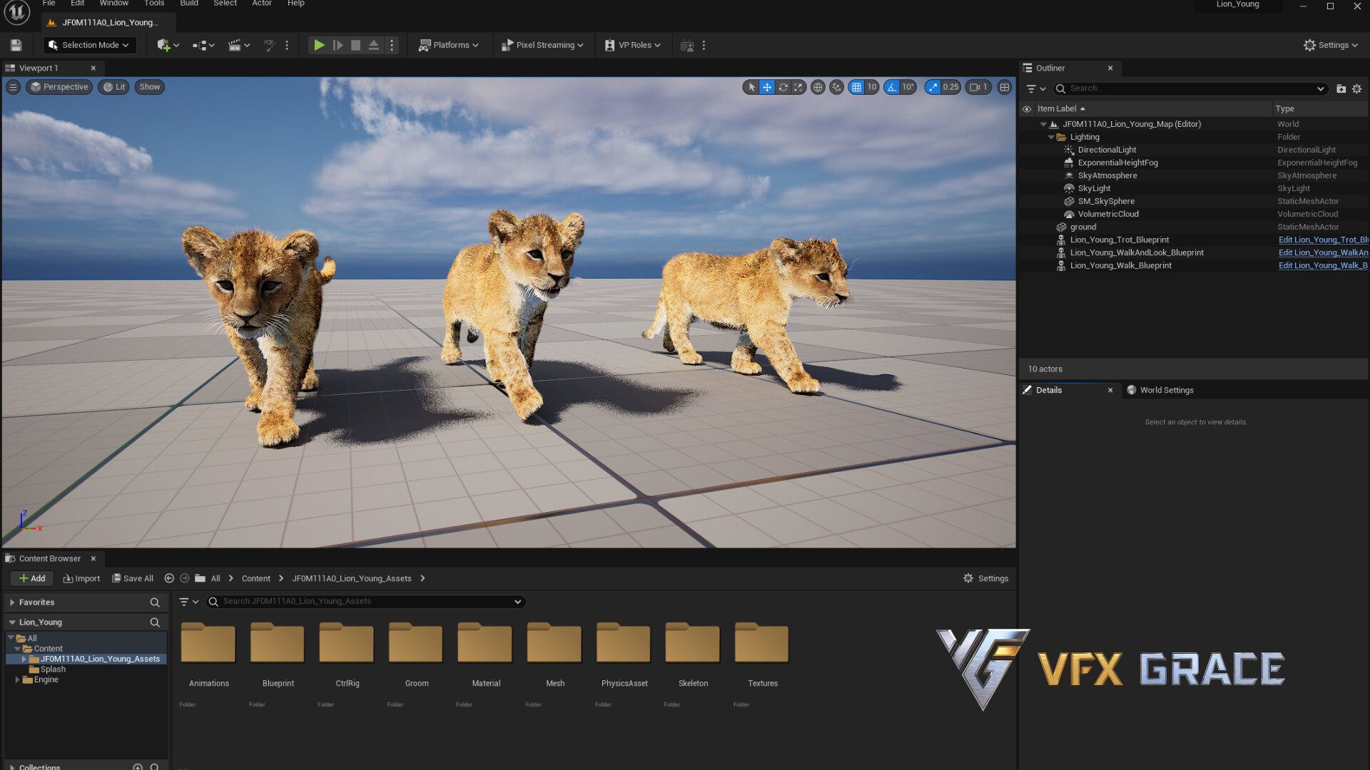 VFX models - Lion Cub Animated - UE Character Asset