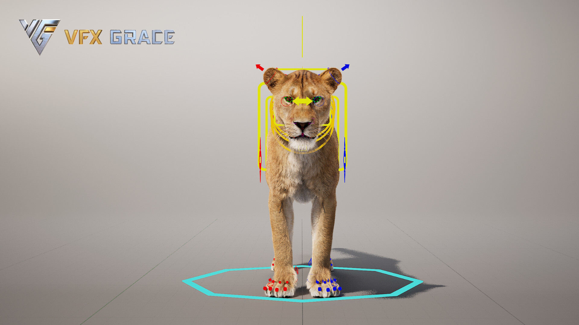 VFX models - Lioness Animated - UE Character Asset