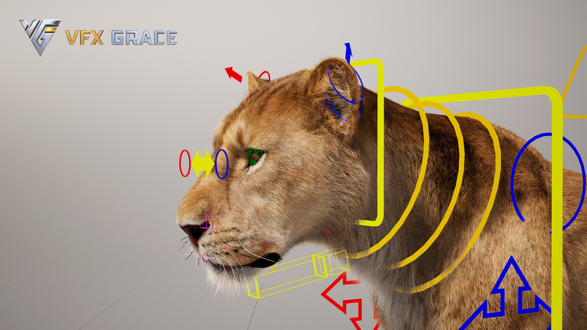 VFX models - Lioness Animated - UE Character Asset