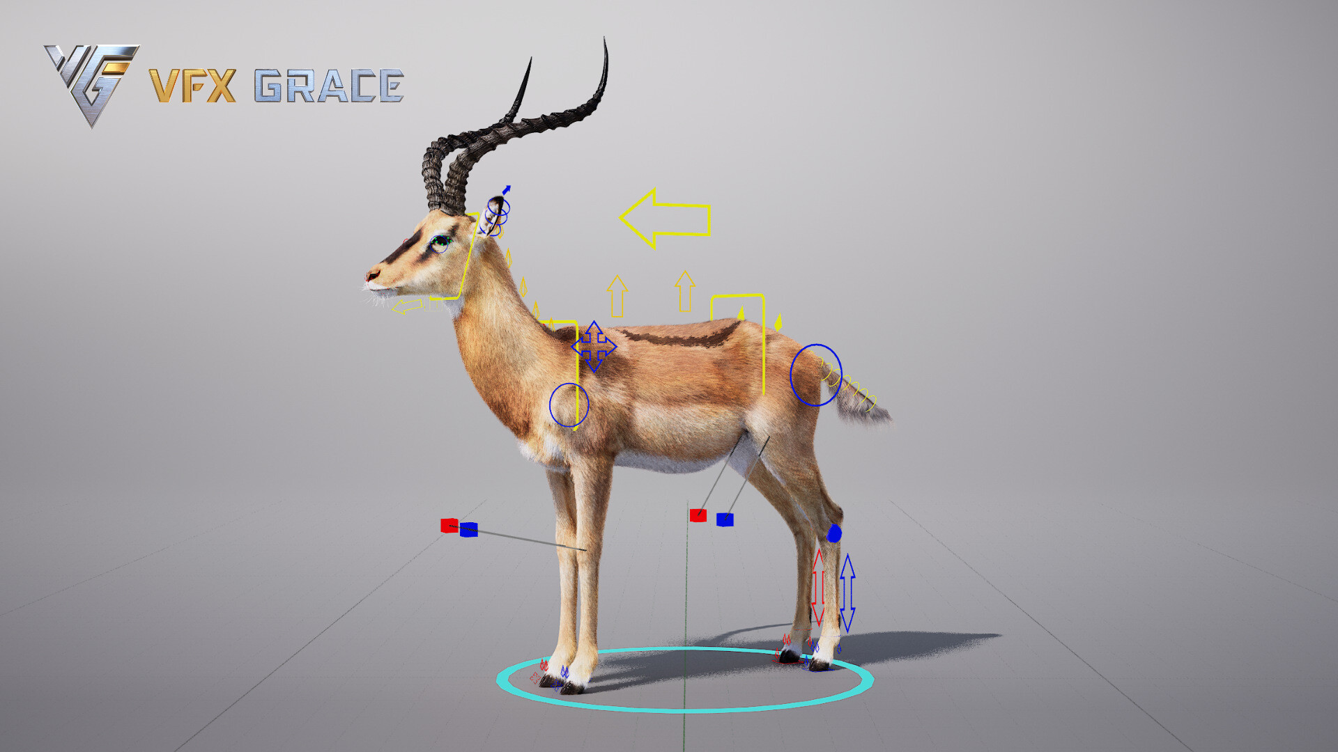 VFX models - Impala Animated - UE Character Asset