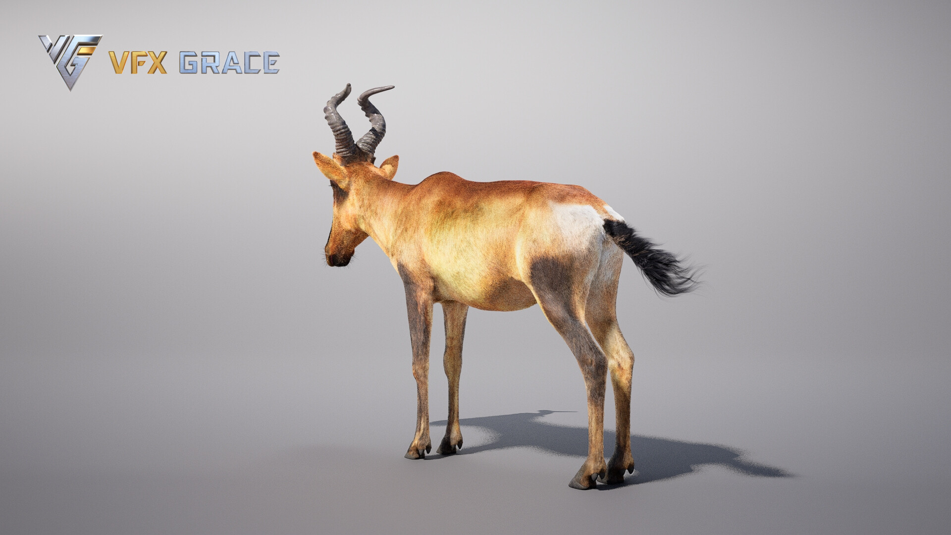 VFX models - Buselaphus Animated - UE Character Asset