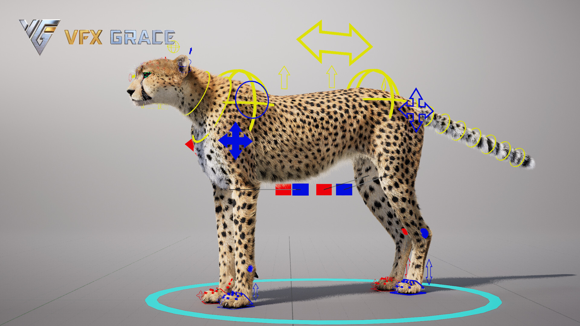 VFX models - Cheetah Animated - UE Character Asset
