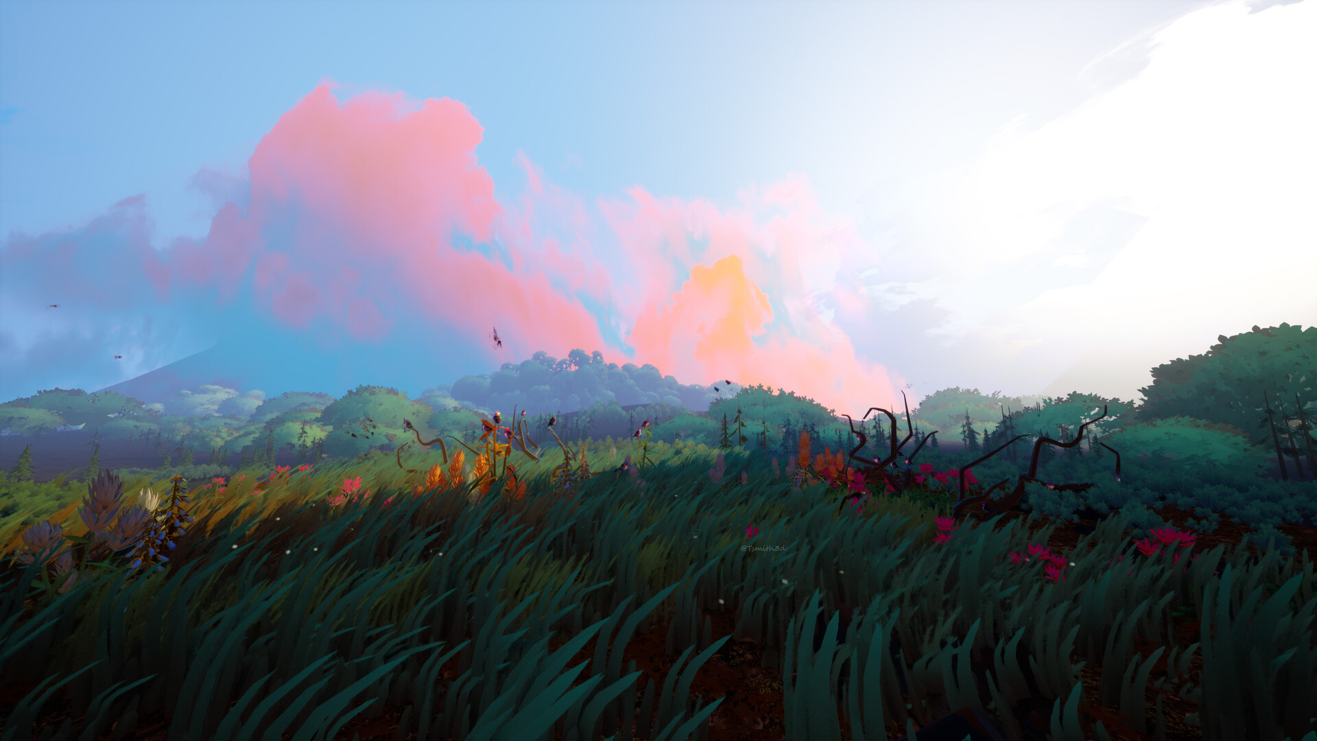 Tyler Smith - Flocks Amongst the Evening Grass (UE5)