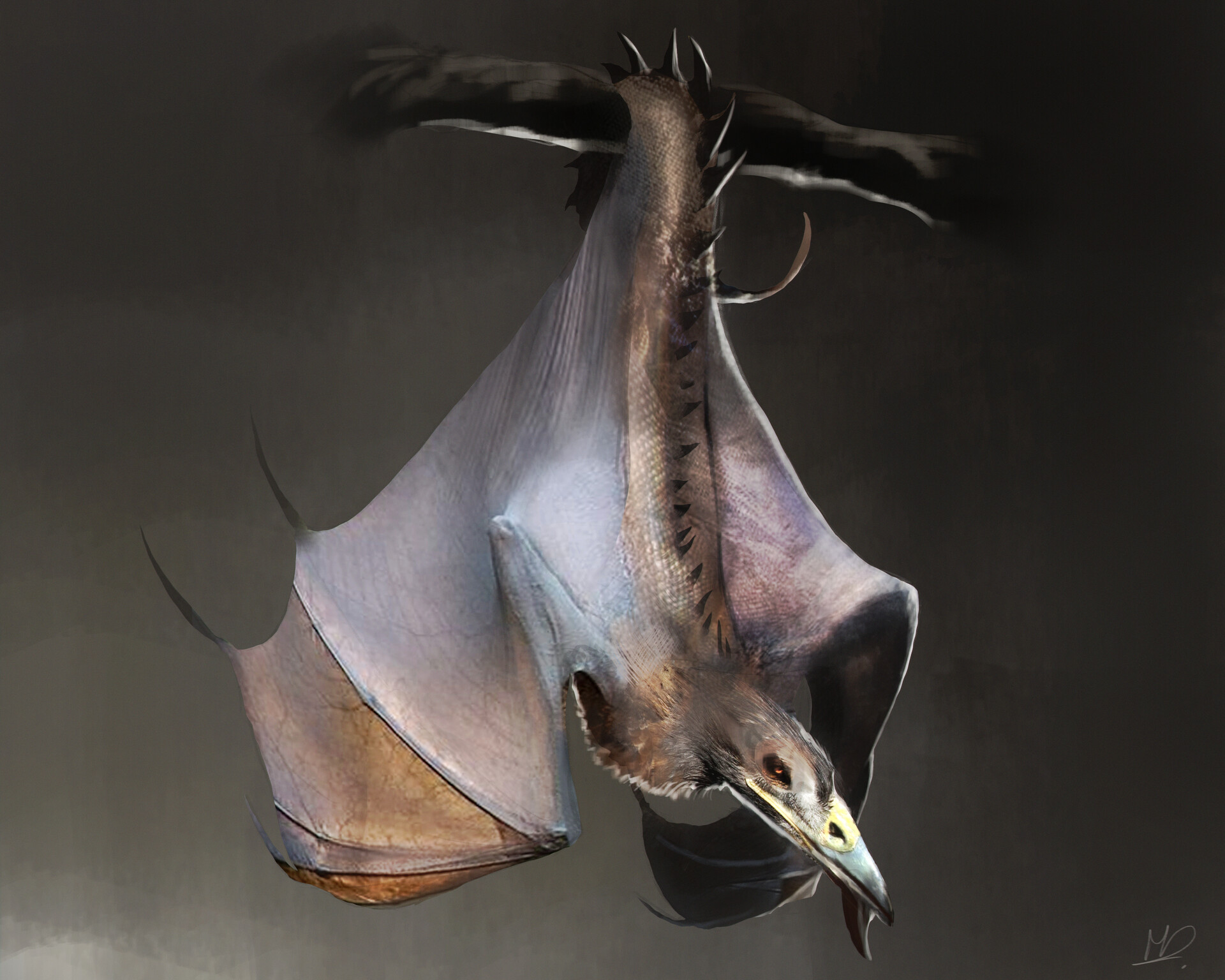 ArtStation - Bird Wyvern VisDev