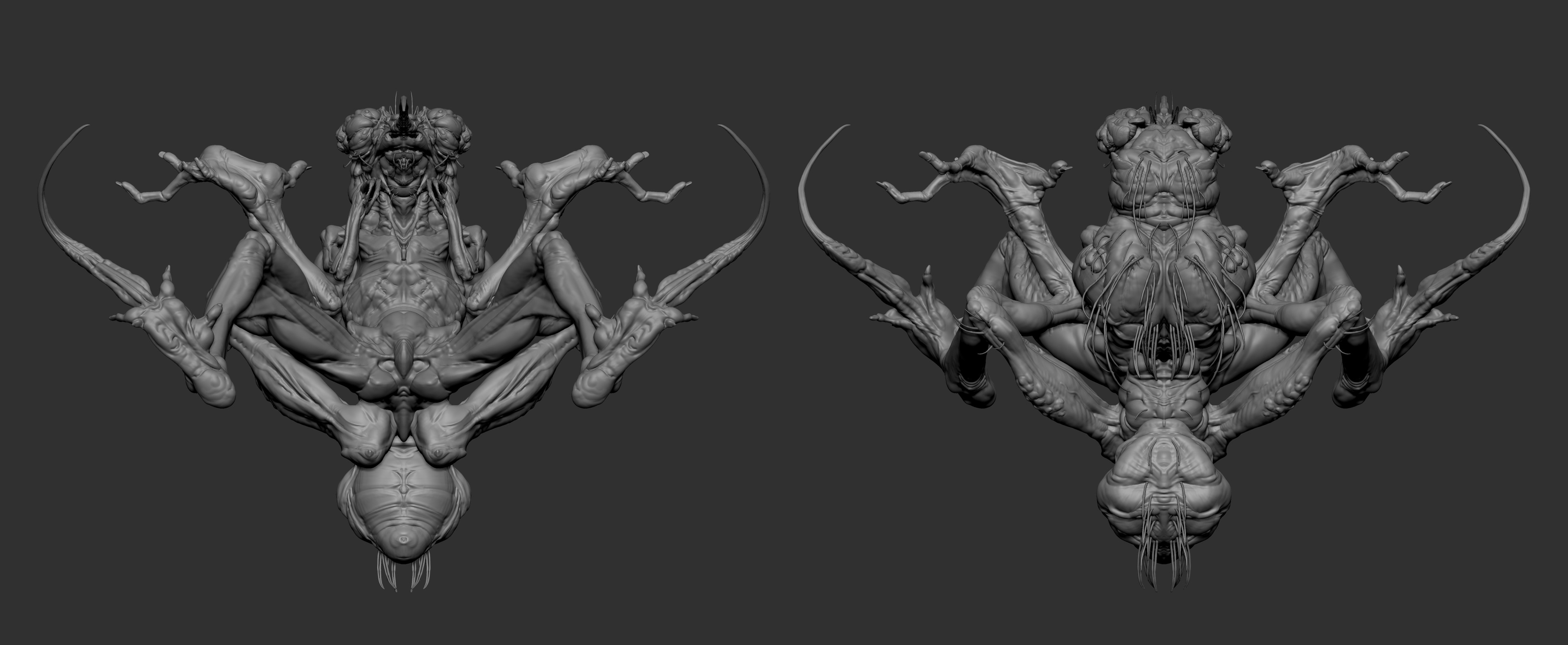 Camille Bachmann - Zangvebar Lesser Vampire