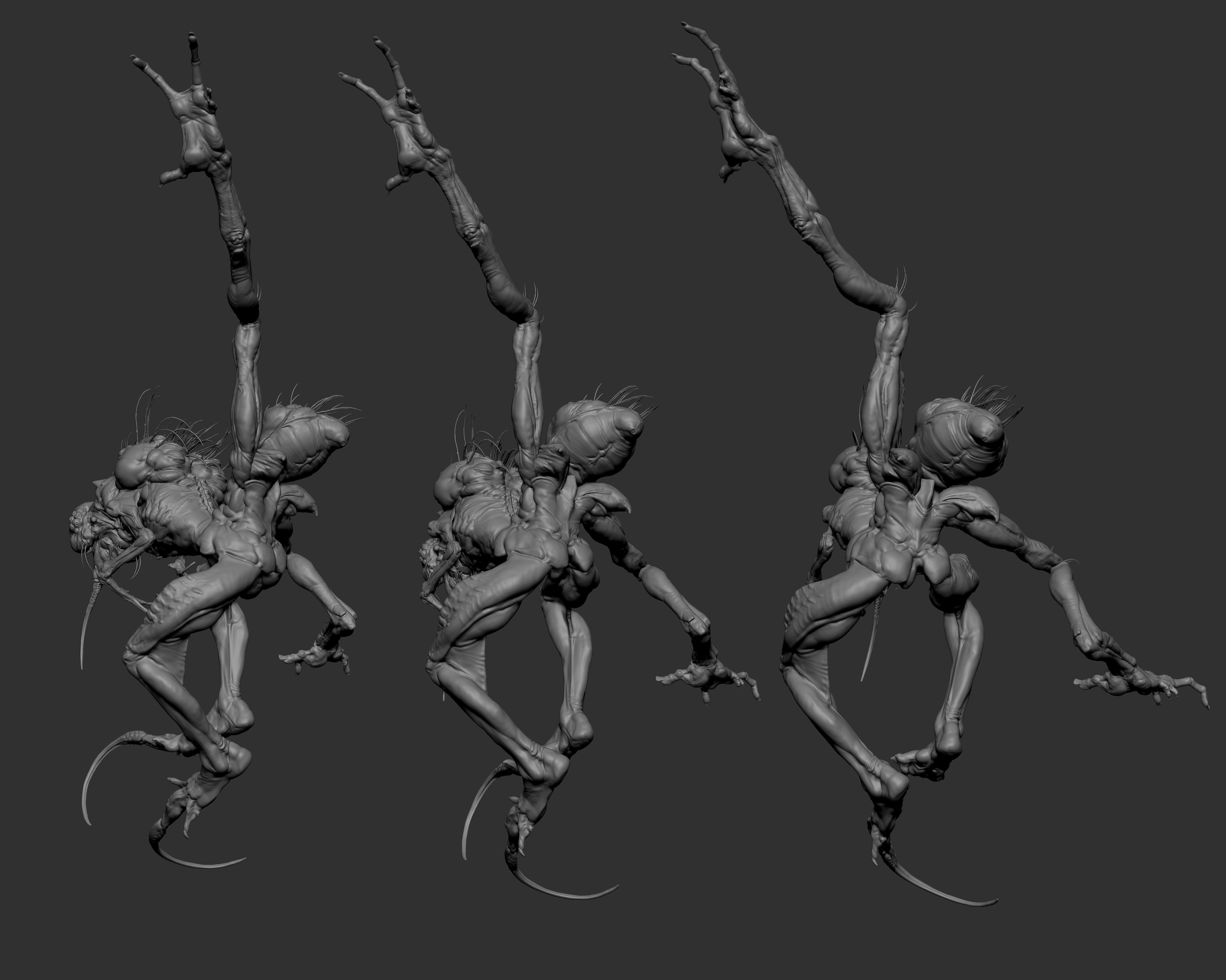 Camille Bachmann - Zangvebar Lesser Vampire