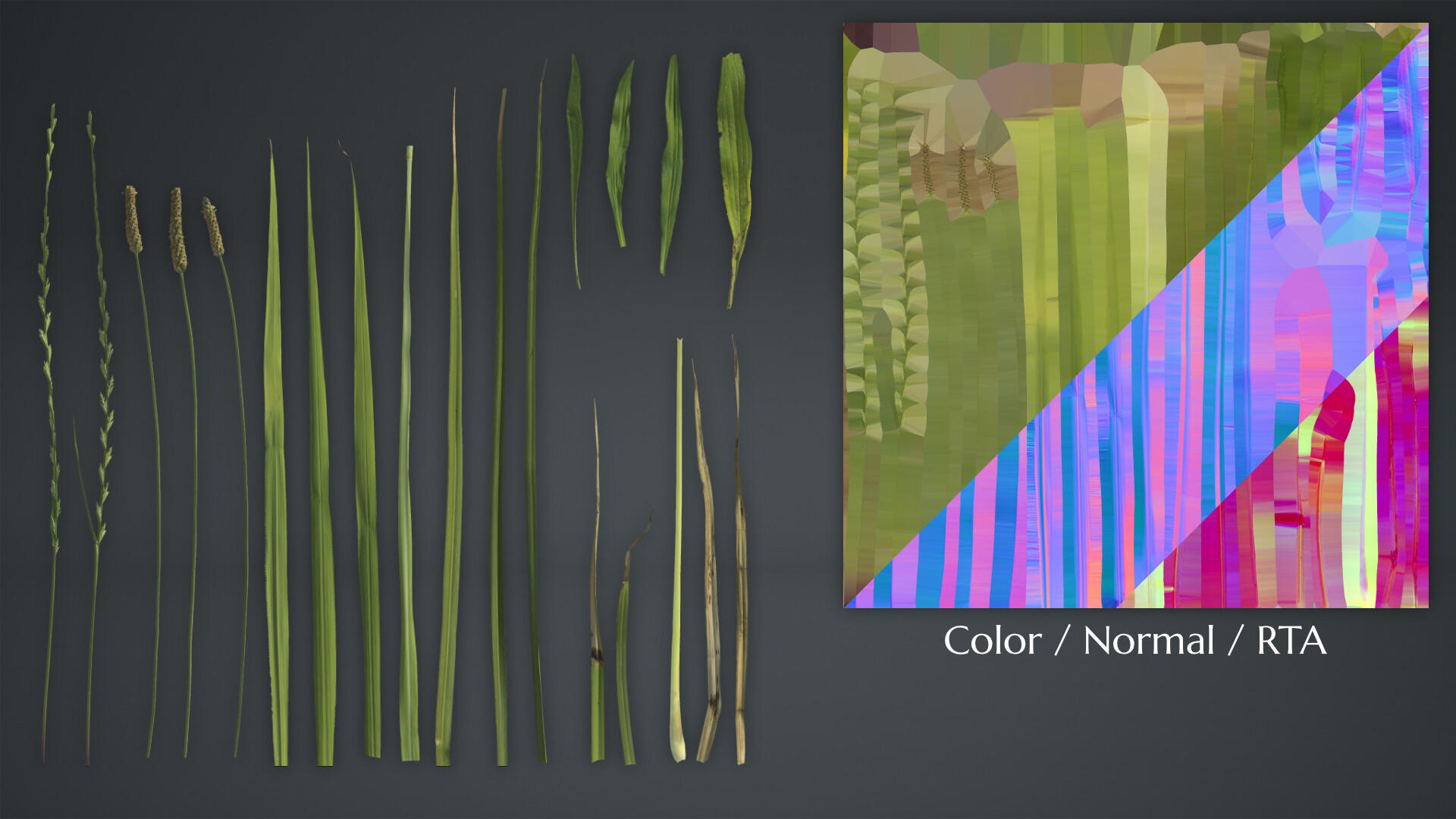 Maximilian Rupp - Cult of Skogheim | Vegetation