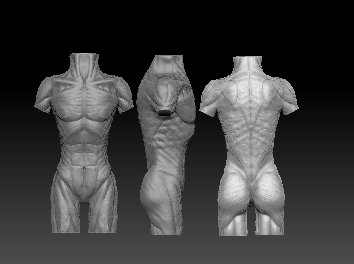 ArtStation - Anatomy Study Day 02