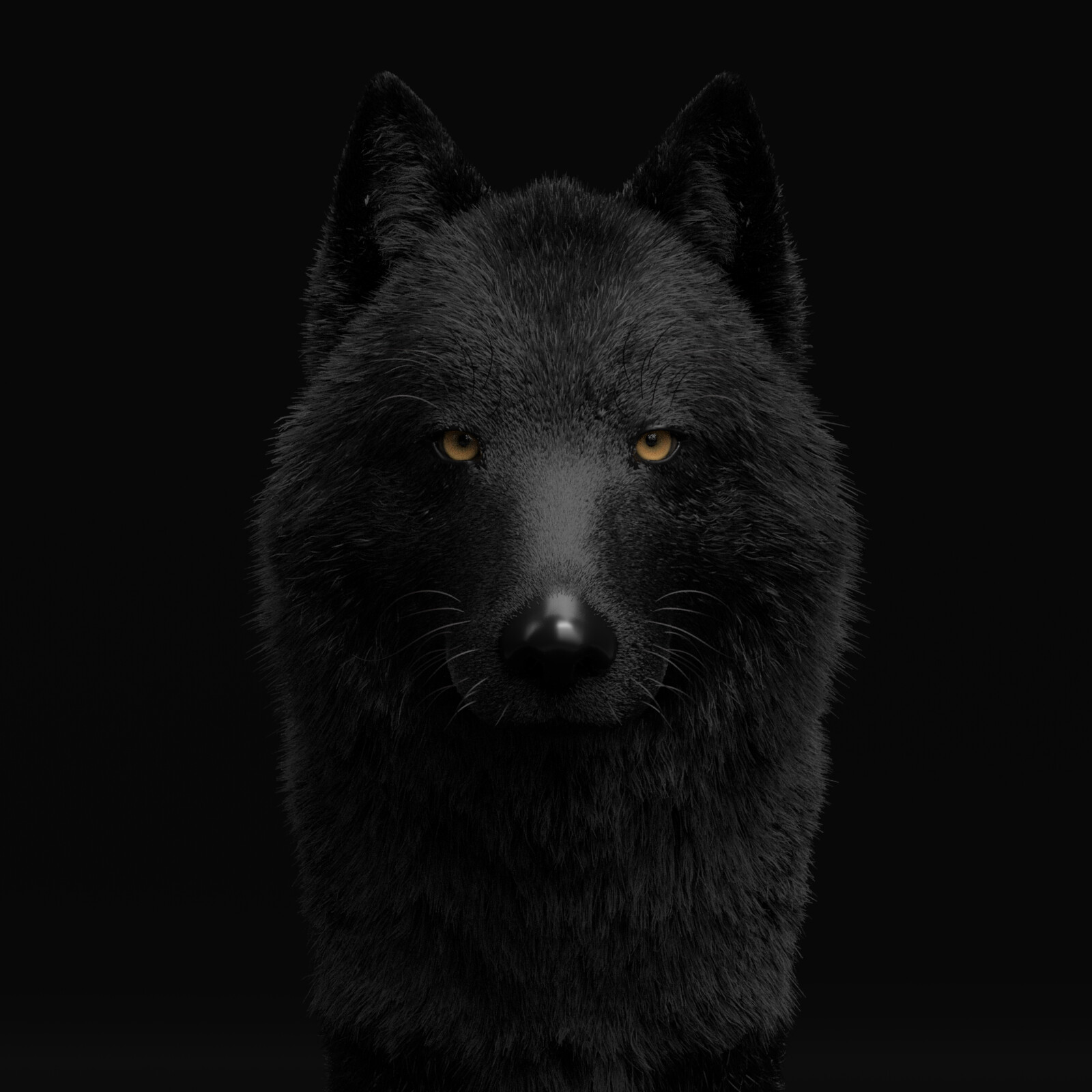 Safal Uplavikar - Wolf Xgen groom