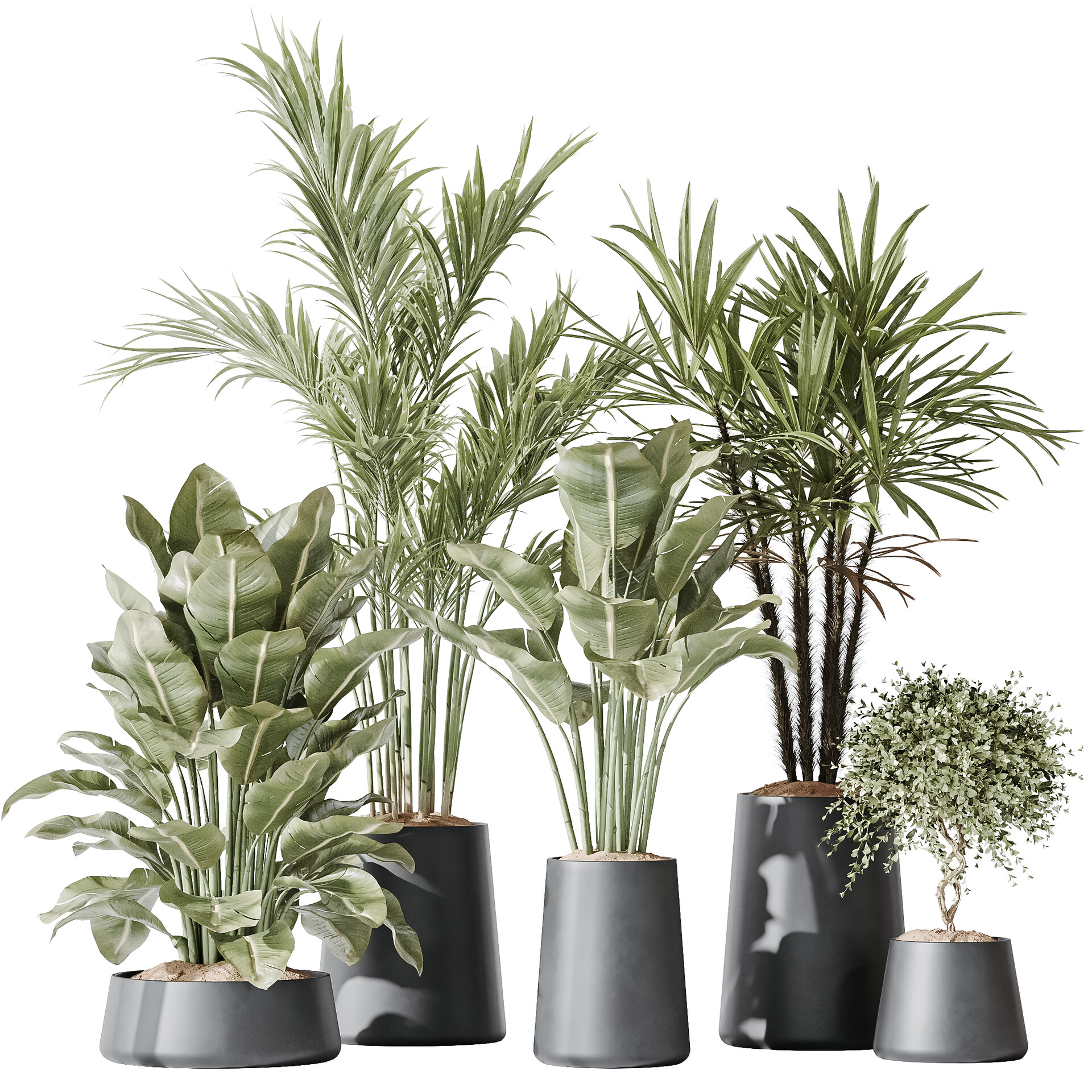 ArtStation - Indoor plant set 30