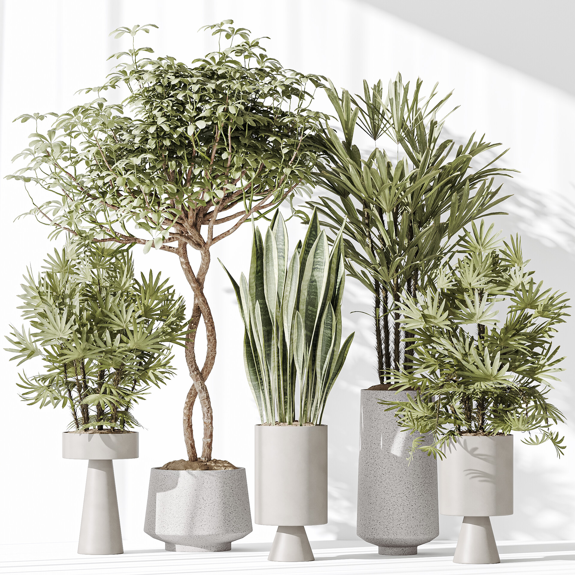 PANDORA Land - Indoor plant set 29