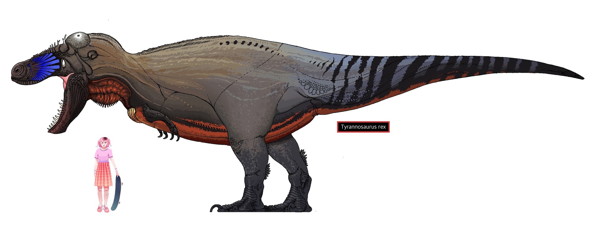 ArtStation - Tyrannosaurus Reconstruction 2024