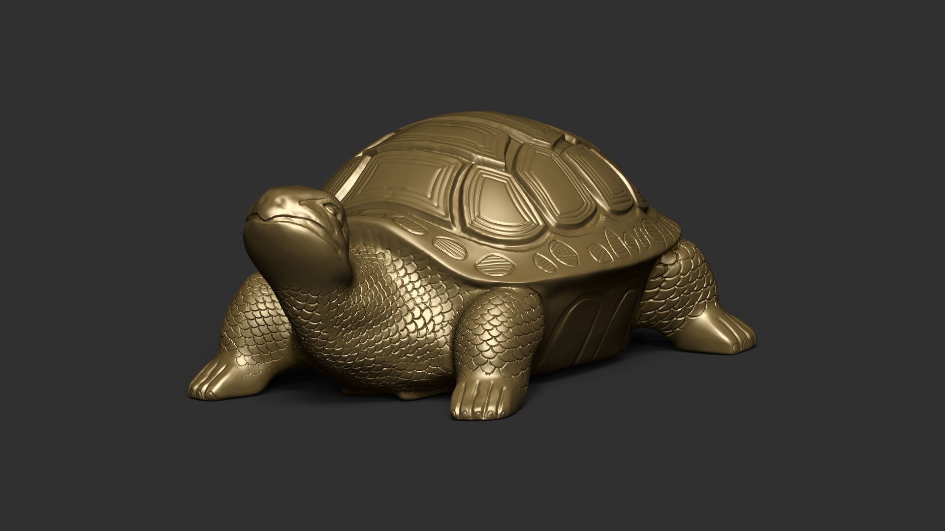 ArtStation - Tortoise