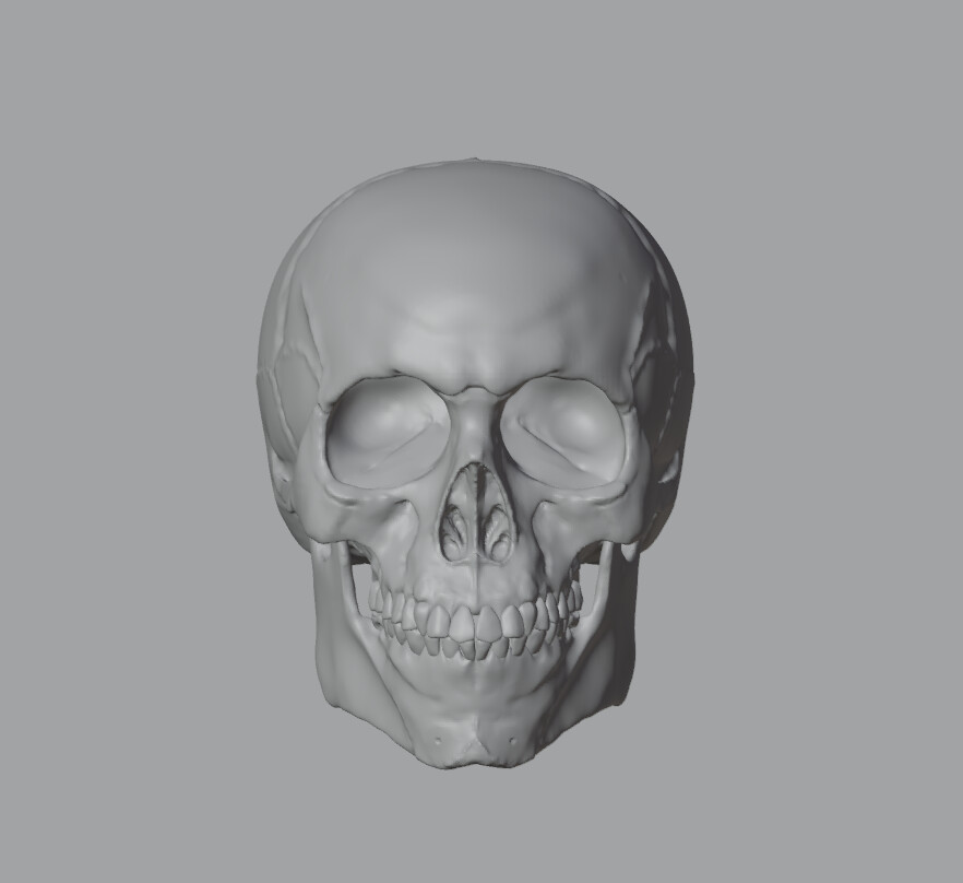 ArtStation - Sculpture practice: Skull