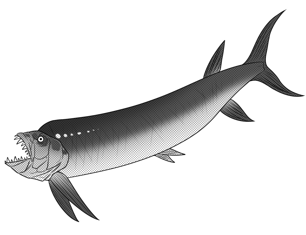xiphactinus pronounce