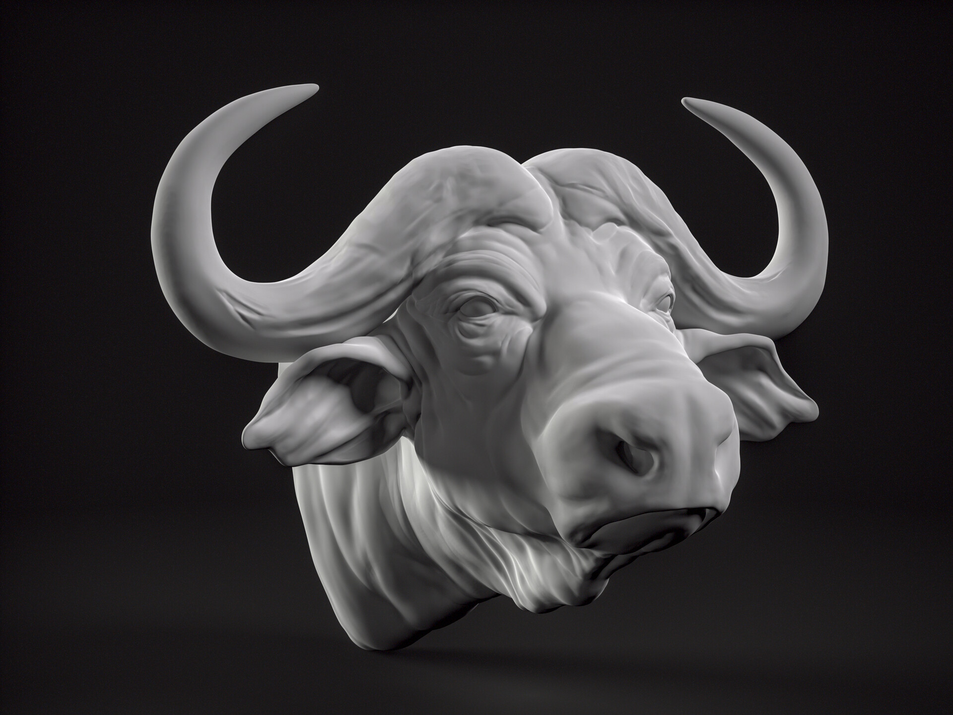 ArtStation - Cape buffalo