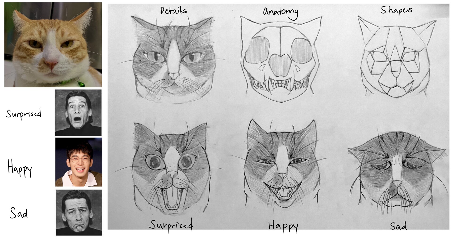 ArtStation - CAT EXPRESSION