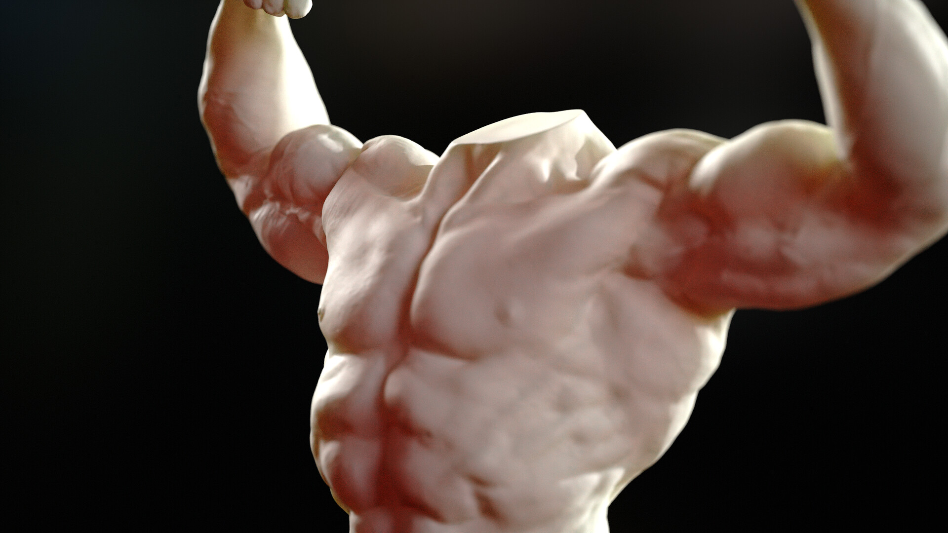 ArtStation - Muscular anatomy Sketch