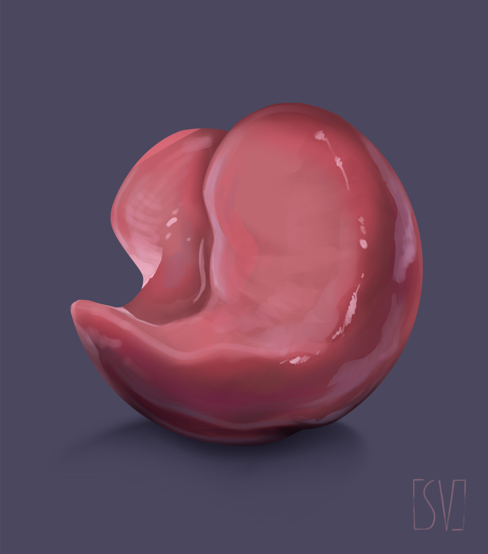 Sofia Viães - Material Studies