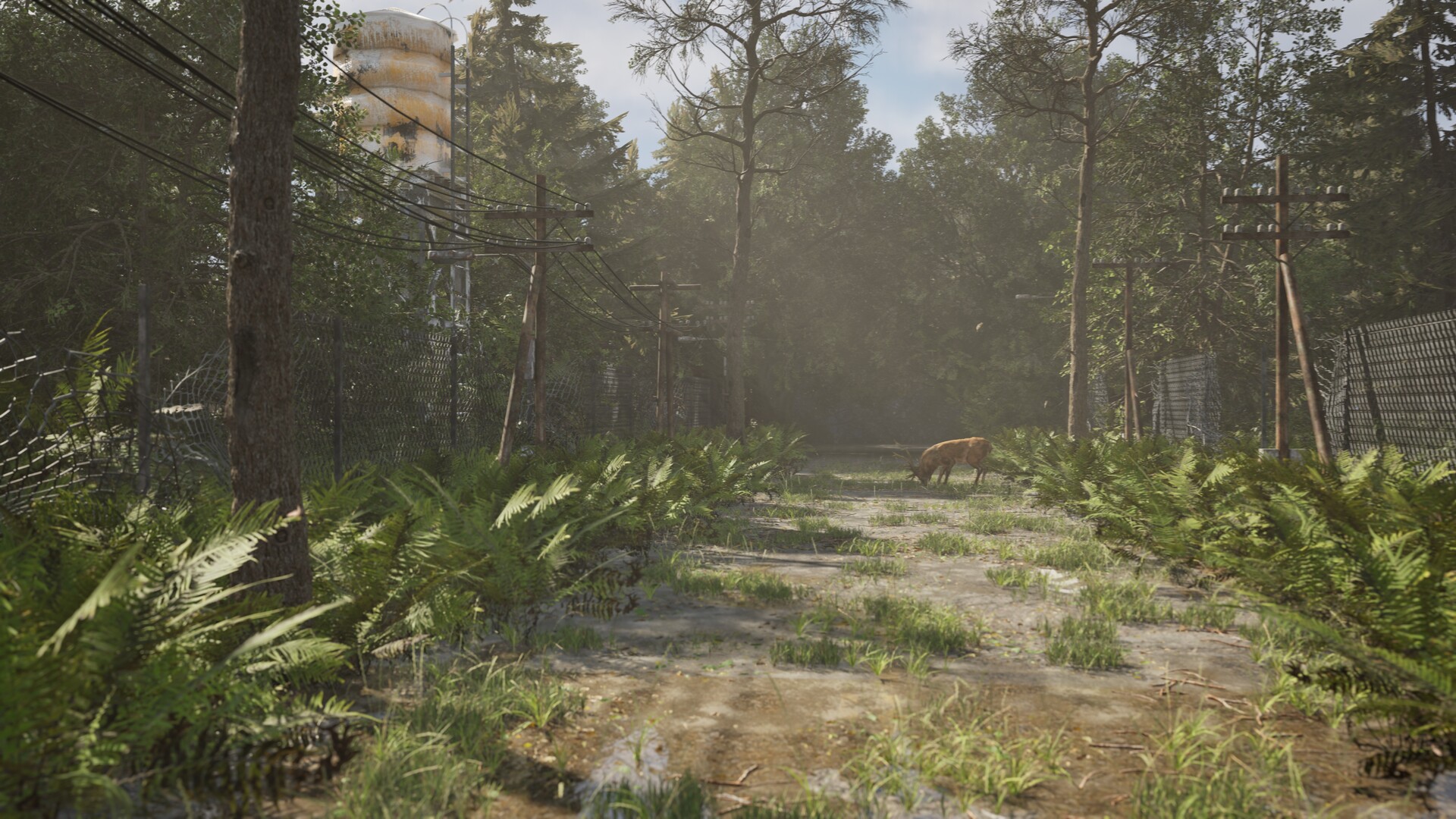 Darsh Gala - DEEP IN THE WILD