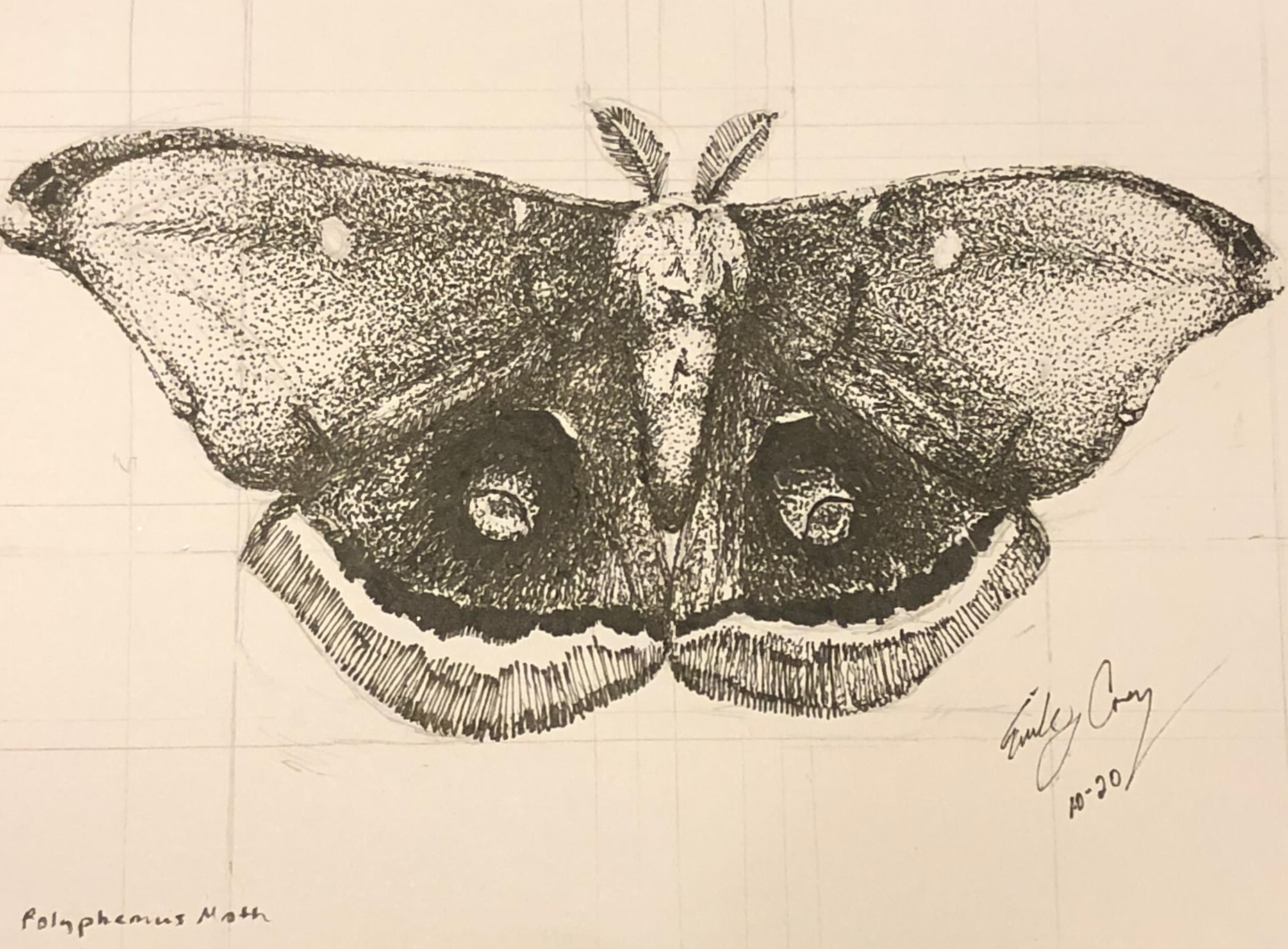 Emily Carey - Stippling Collection