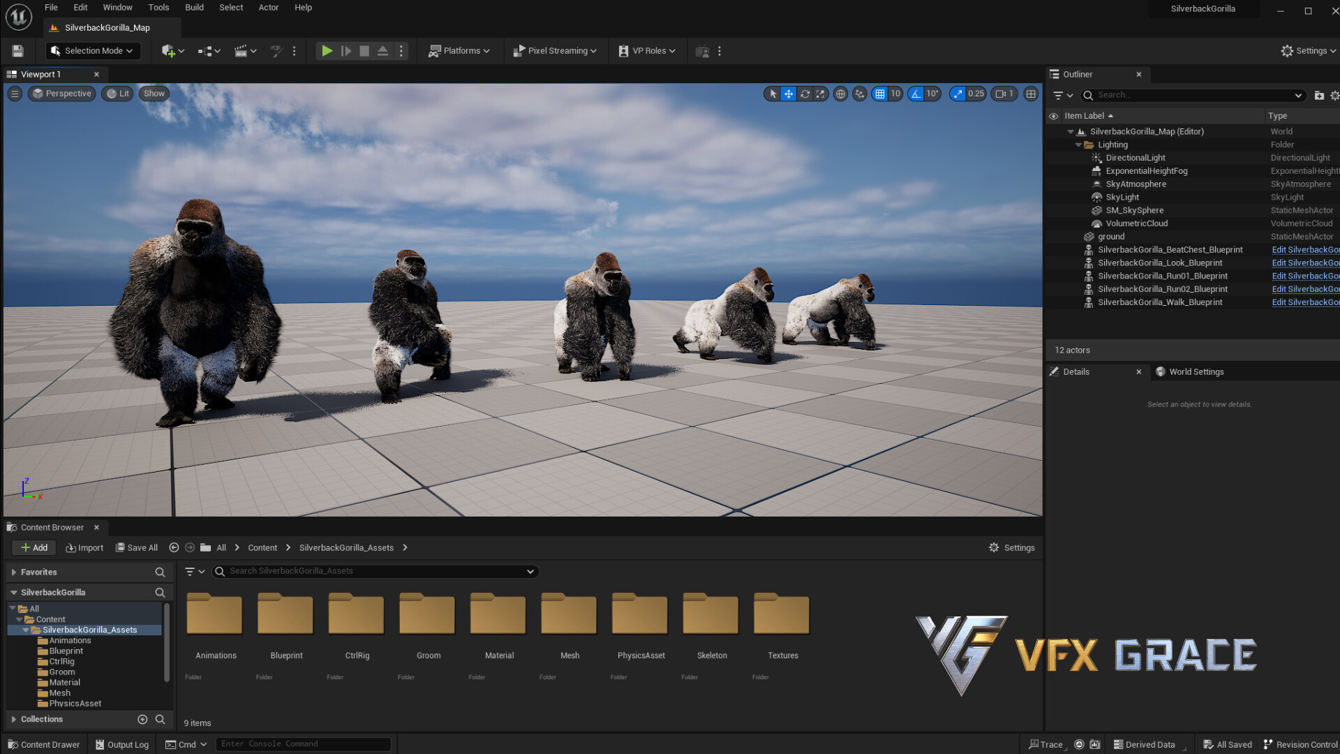 VFX models - Silverback Gorilla Animation - UE Character Asset