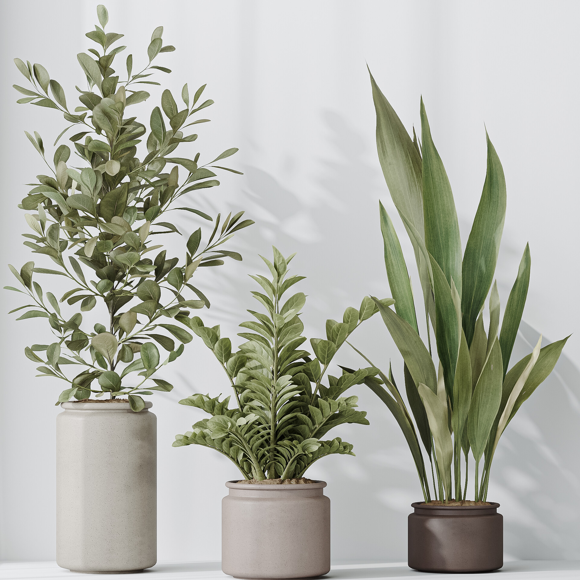 PANDORA Land - Indoor Plants Set 42