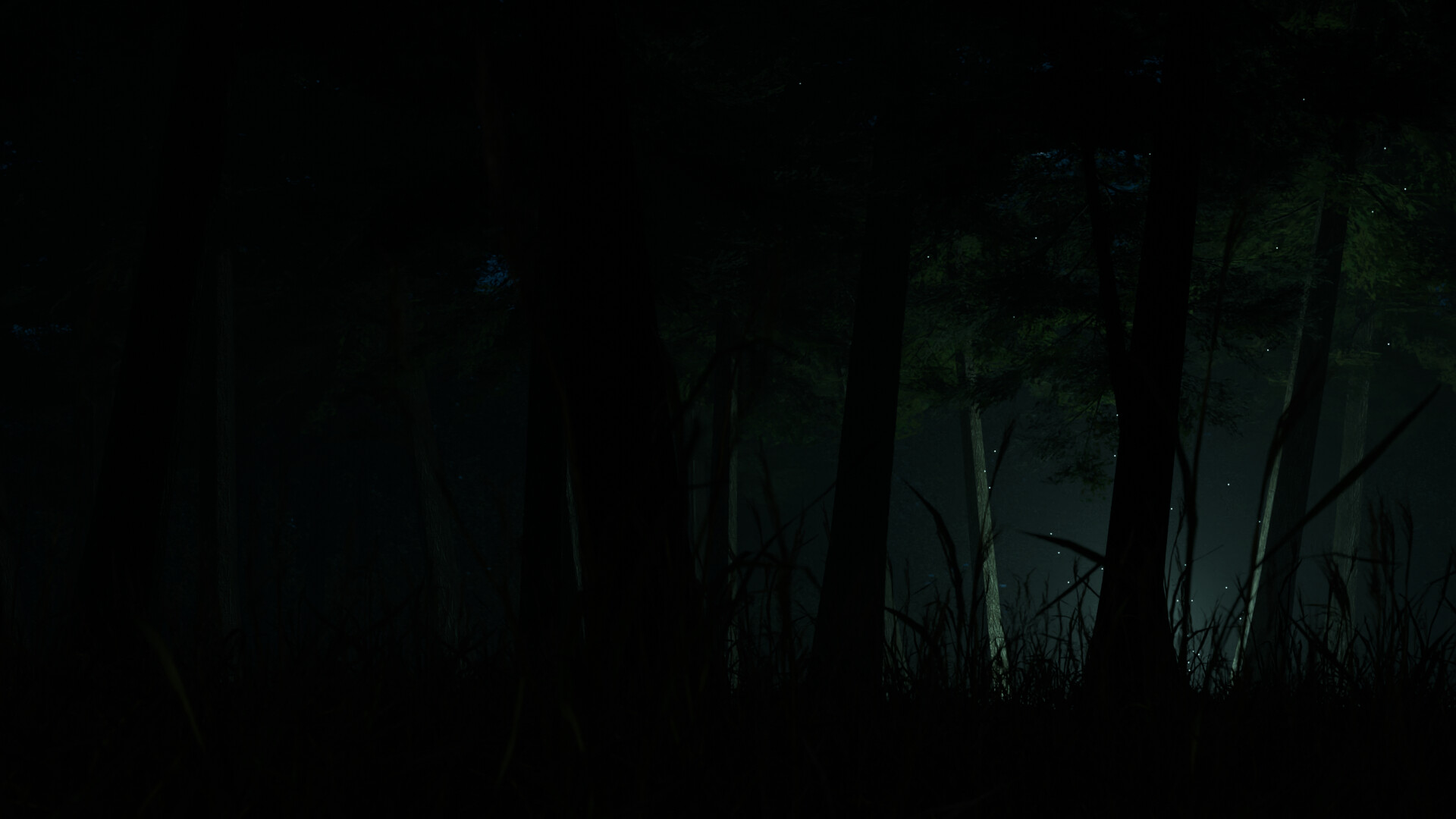 ArtStation - Night forest