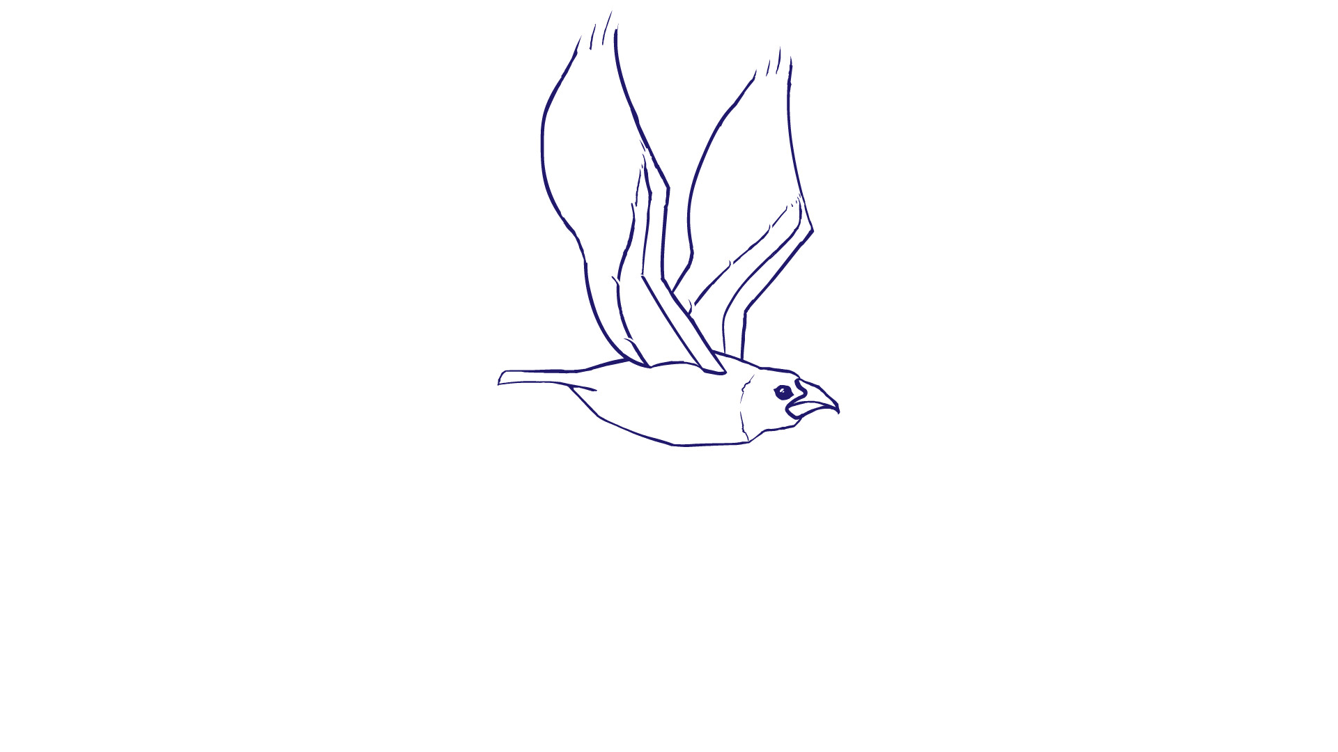 ArtStation - Bird Flight Animation