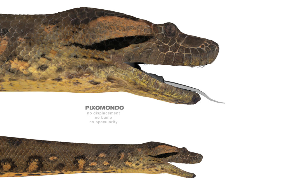 ArtStation - Creature Snake Texture