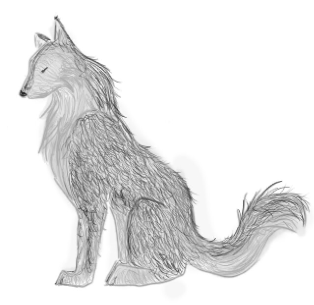 ArtStation - messy style wolf