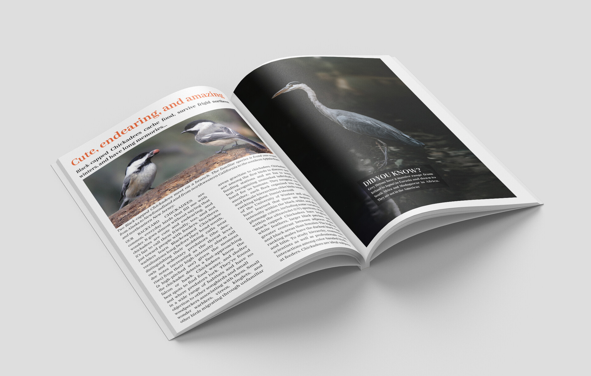 ArtStation - Graphics Magazine