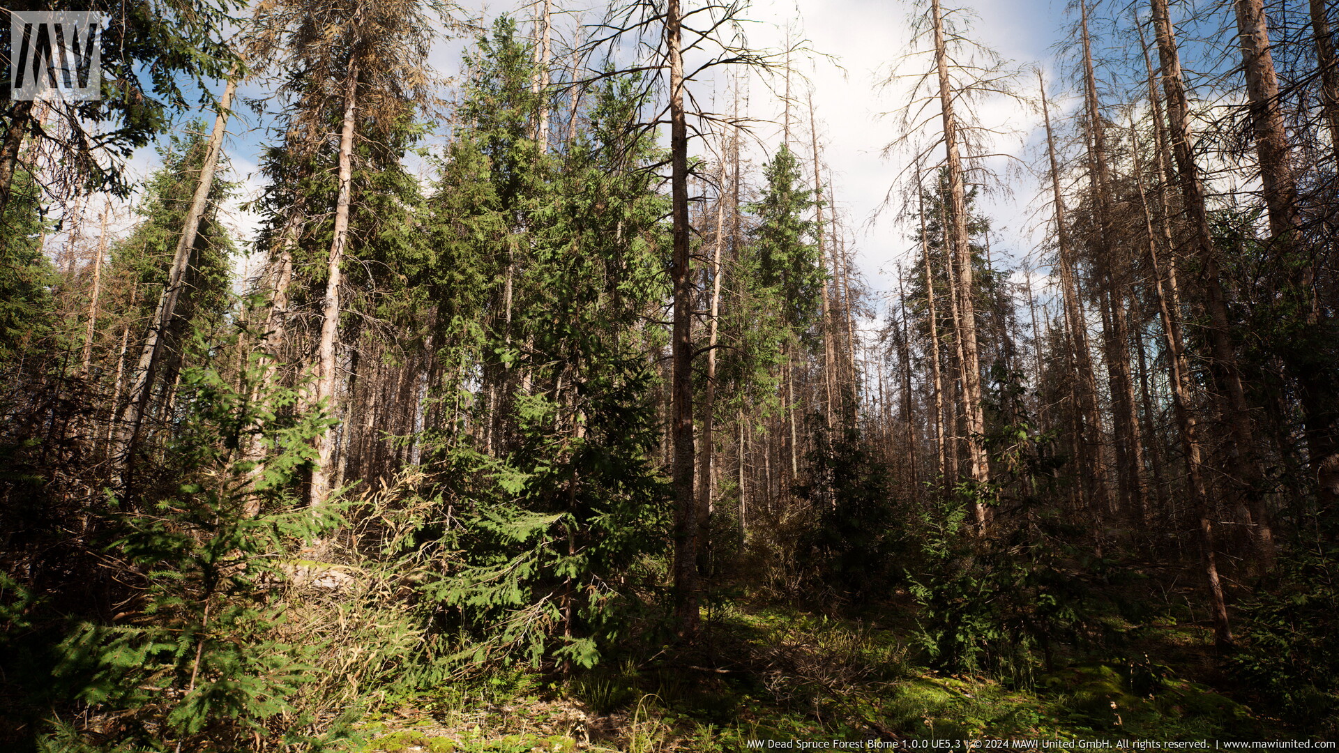 ArtStation - UE5.3 Dead Spruce Forest Biome