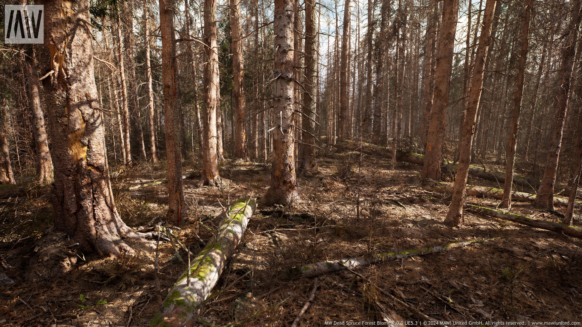 MAWI United - UE5.3 Dead Spruce Forest Biome